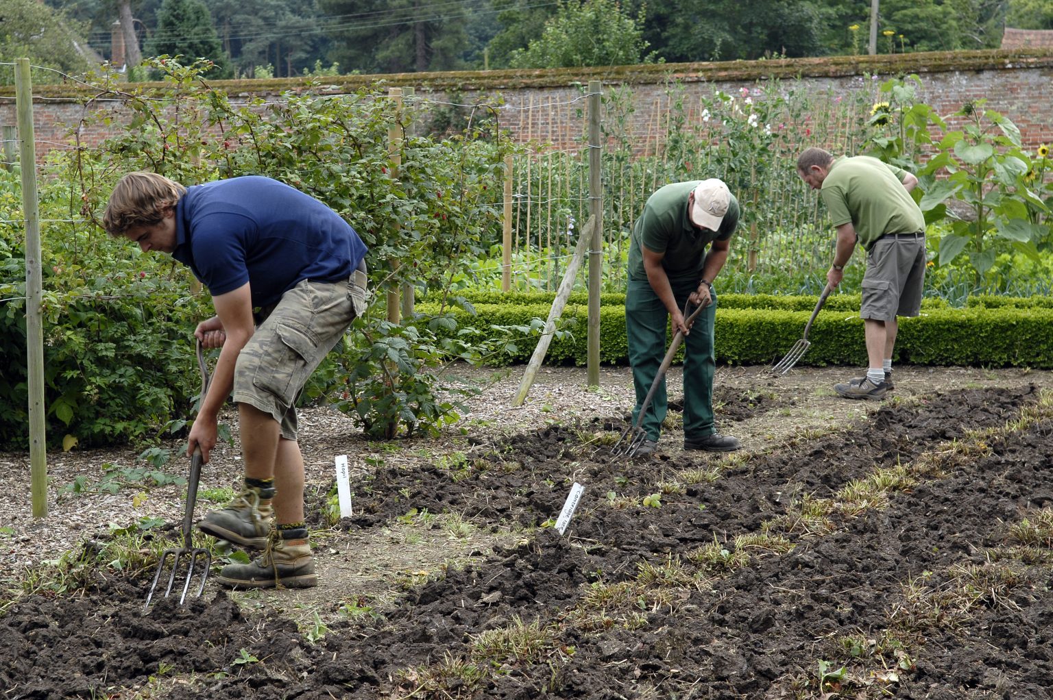 Gardening: sources of help for novice gardeners - The Field