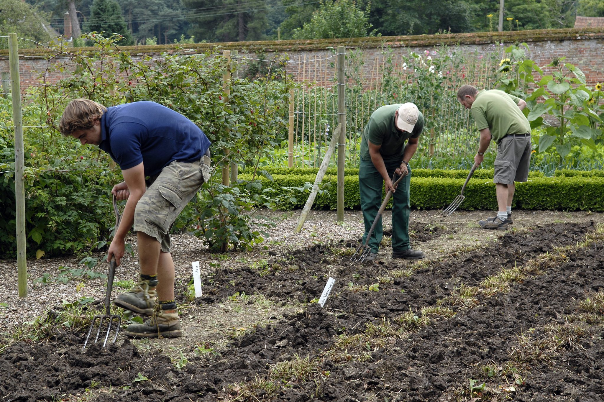 Gardening: sources of help for novice gardeners - The Field