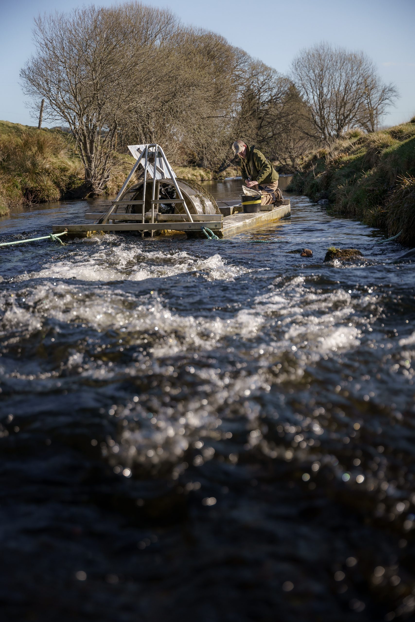 The Moray Firth project - can our salmon be saved? - The Field