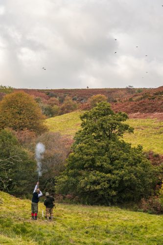 The best Welsh shoots - Shooting - The Field