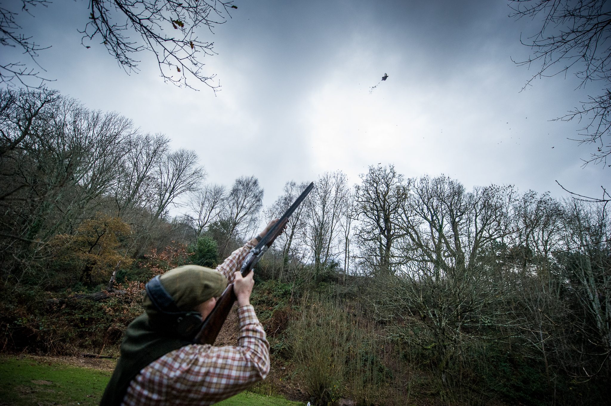 The best Welsh shoots - Shooting - The Field
