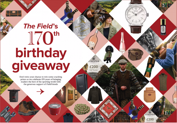 The Field’s 170th birthday giveaway – Idiom Studio