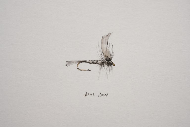 The Field's top 10 trout flies - The Field
