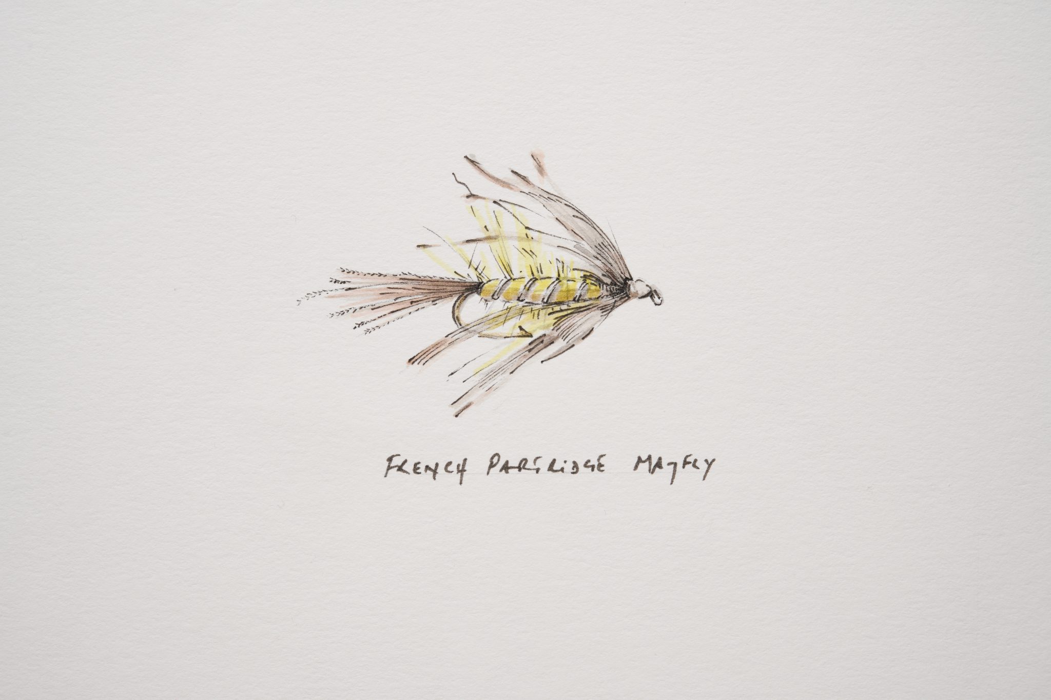 The Field's top 10 trout flies - The Field