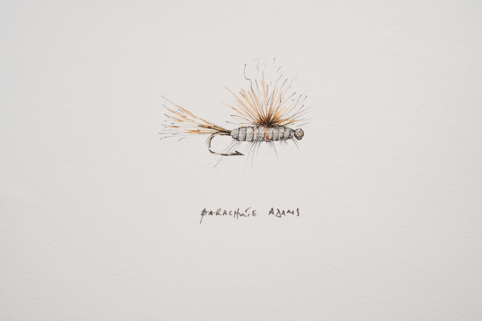 The Field's top 10 trout flies - The Field