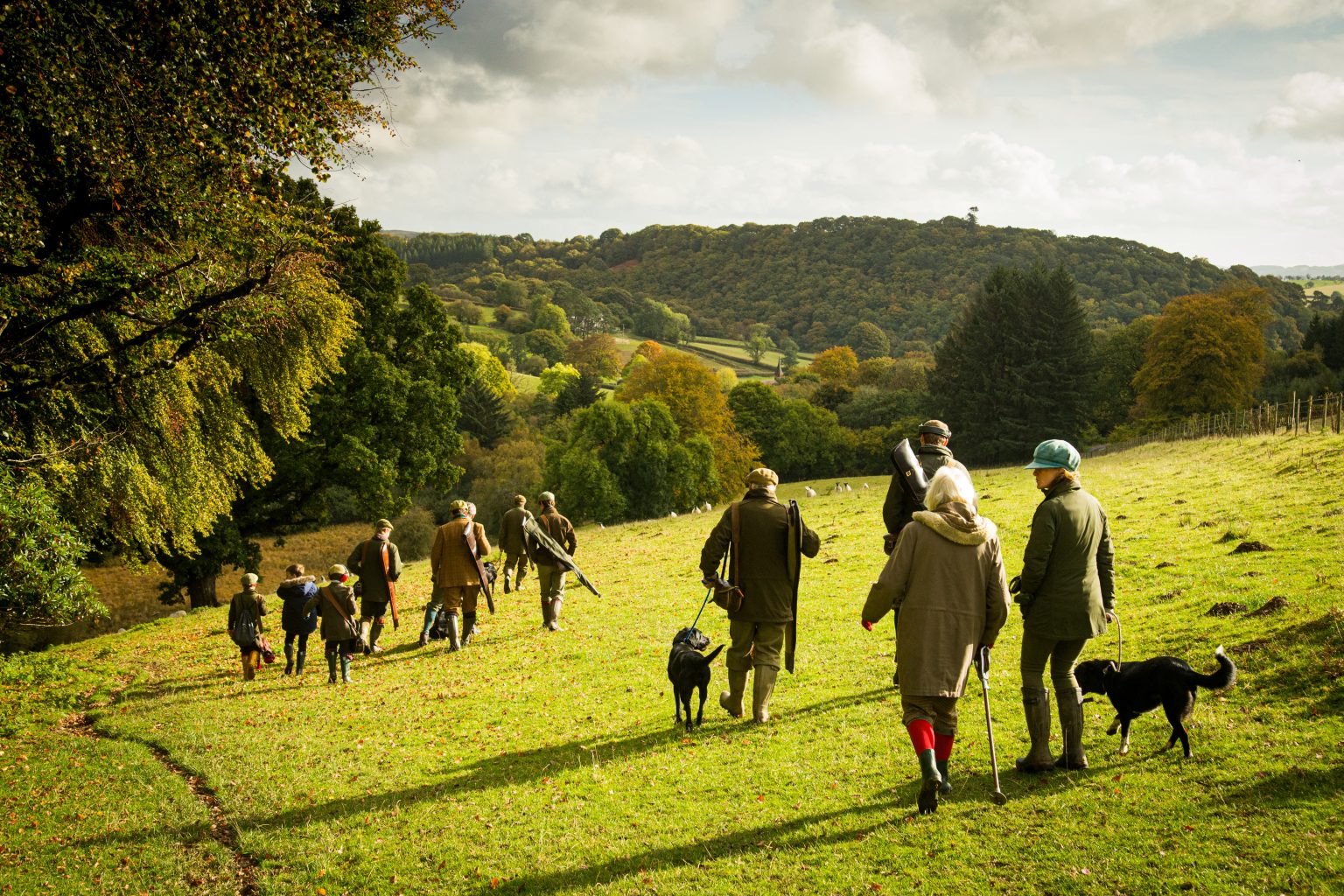 The best Welsh shoots: some of the most challenging game shooting in ...