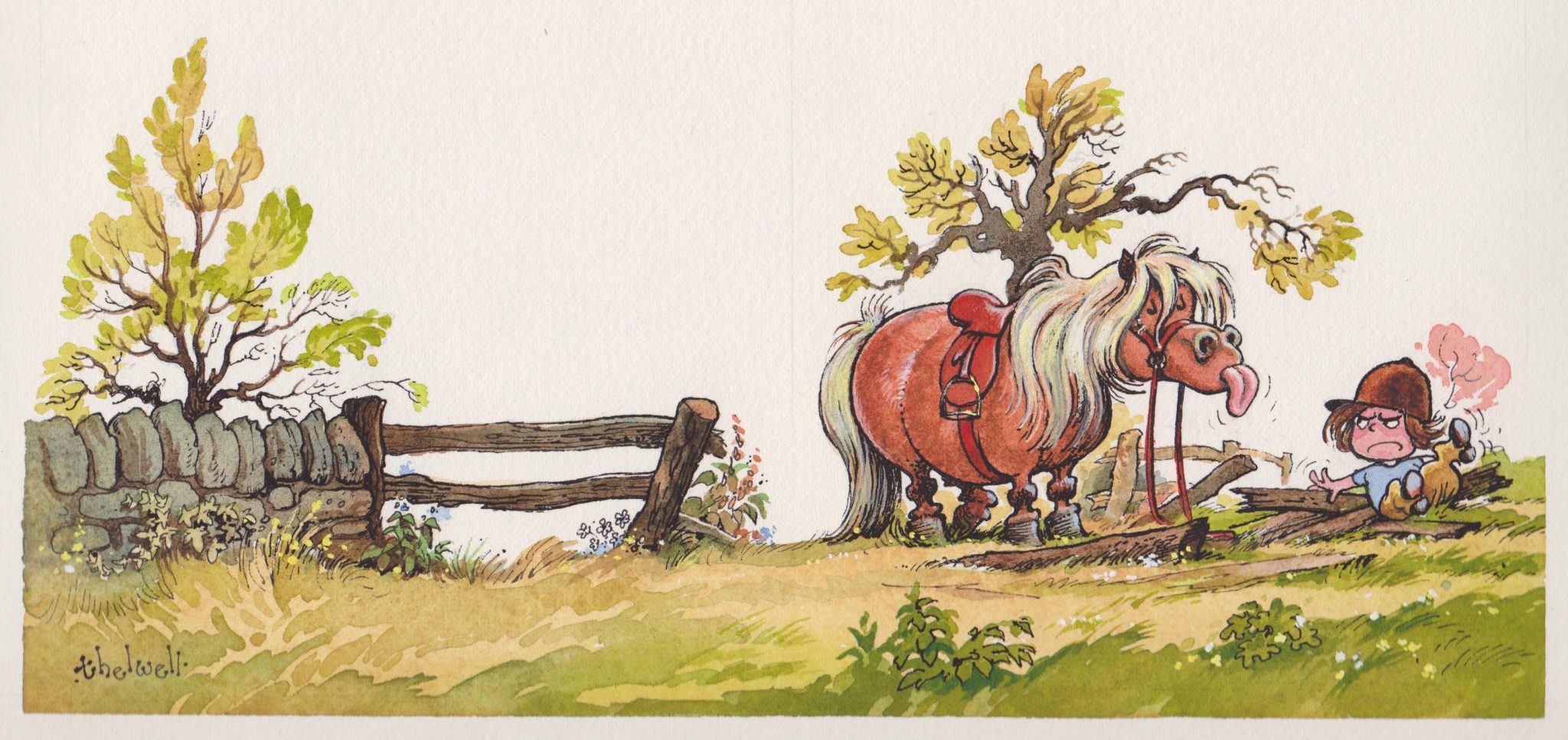 Norman Thelwell - one of the great cartoonists - The Field