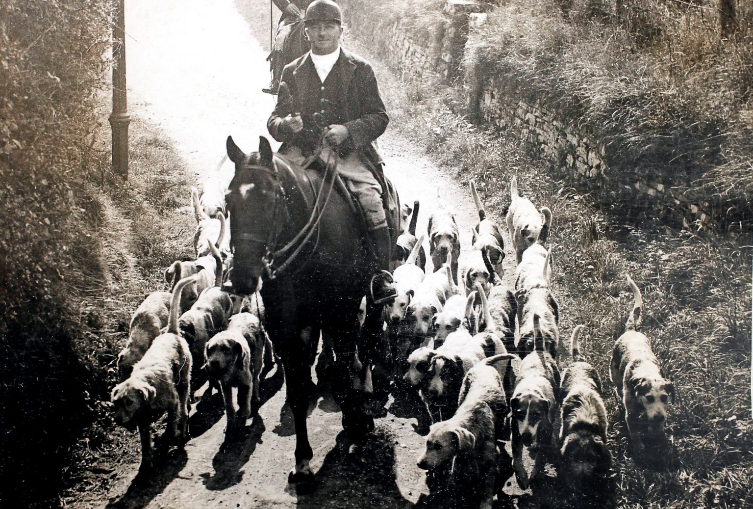 Welsh Hounds - The Field