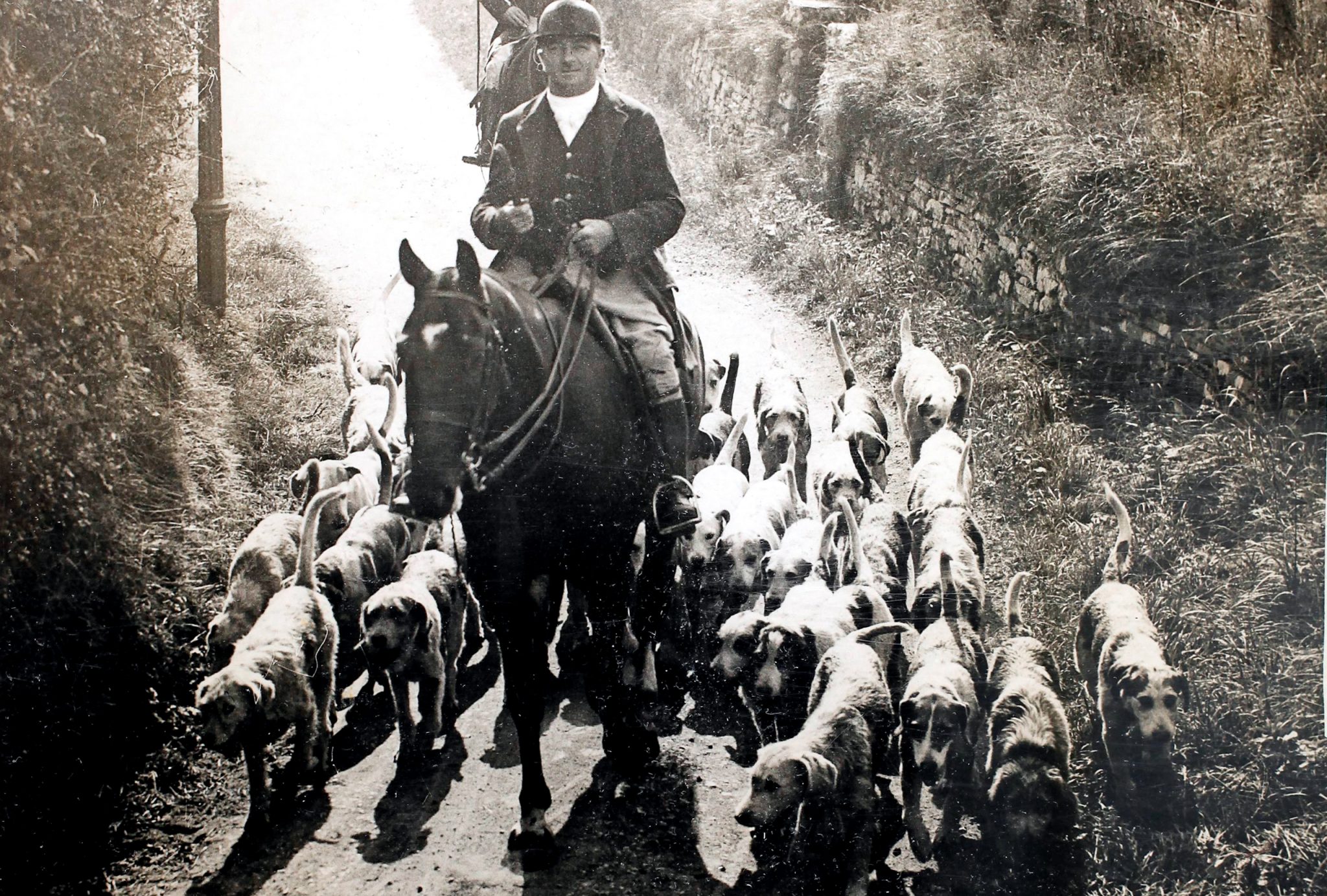 Welsh Hounds - The Field