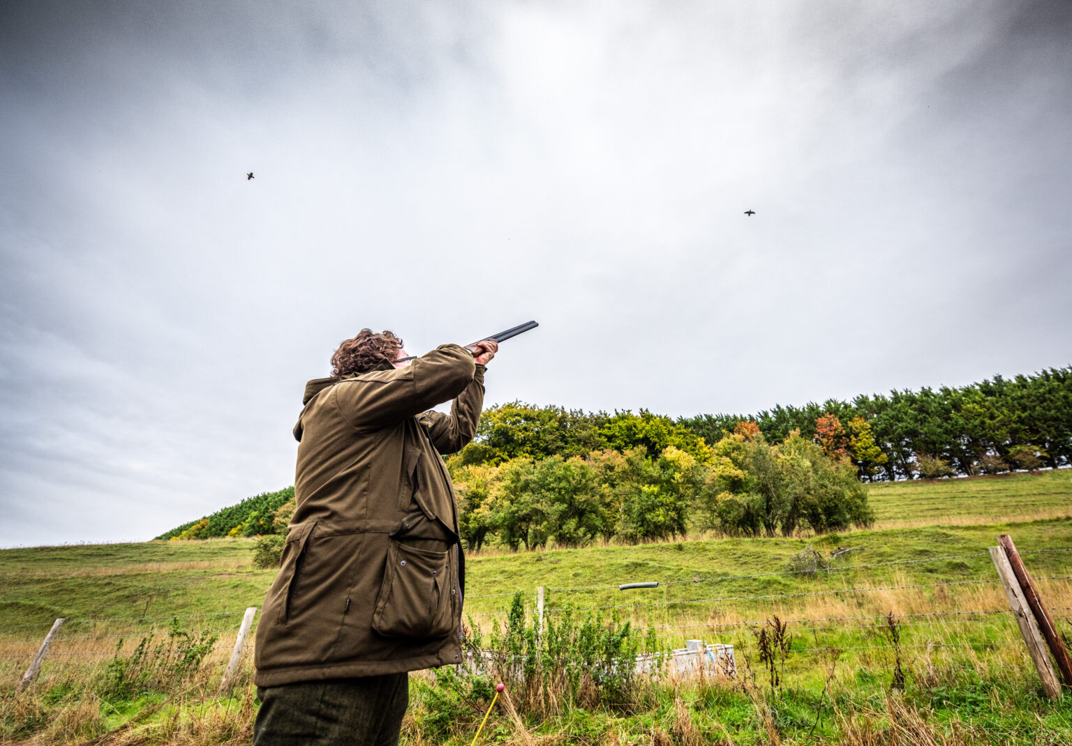 12 top tips for the new partridge shooting season - The Field