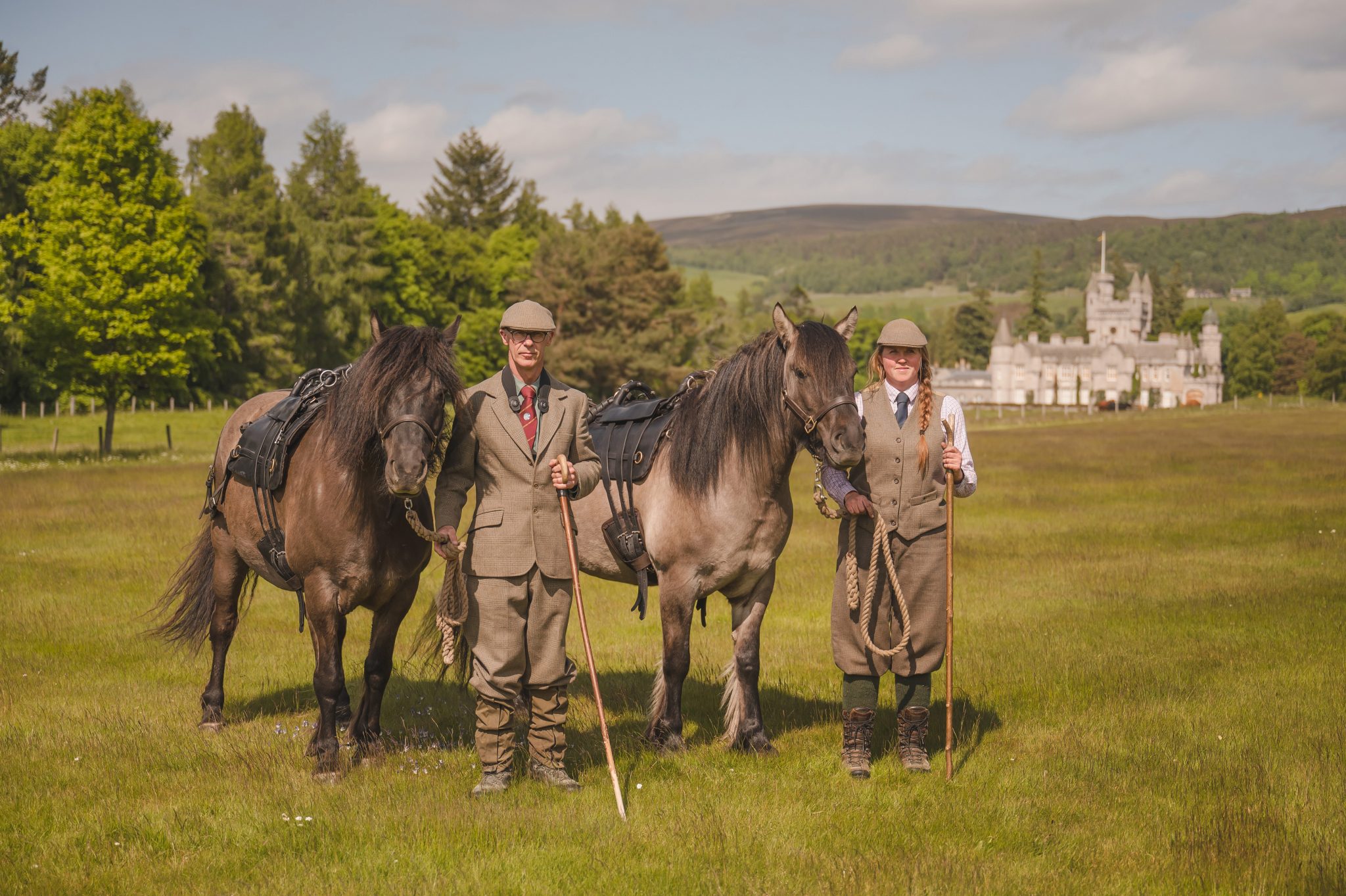 The garron - the workhorse of the Highlands - The Field