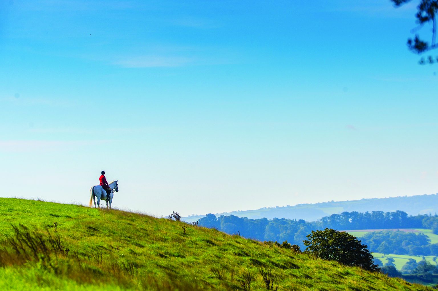 How to prepare for the Hunting Season - The Field