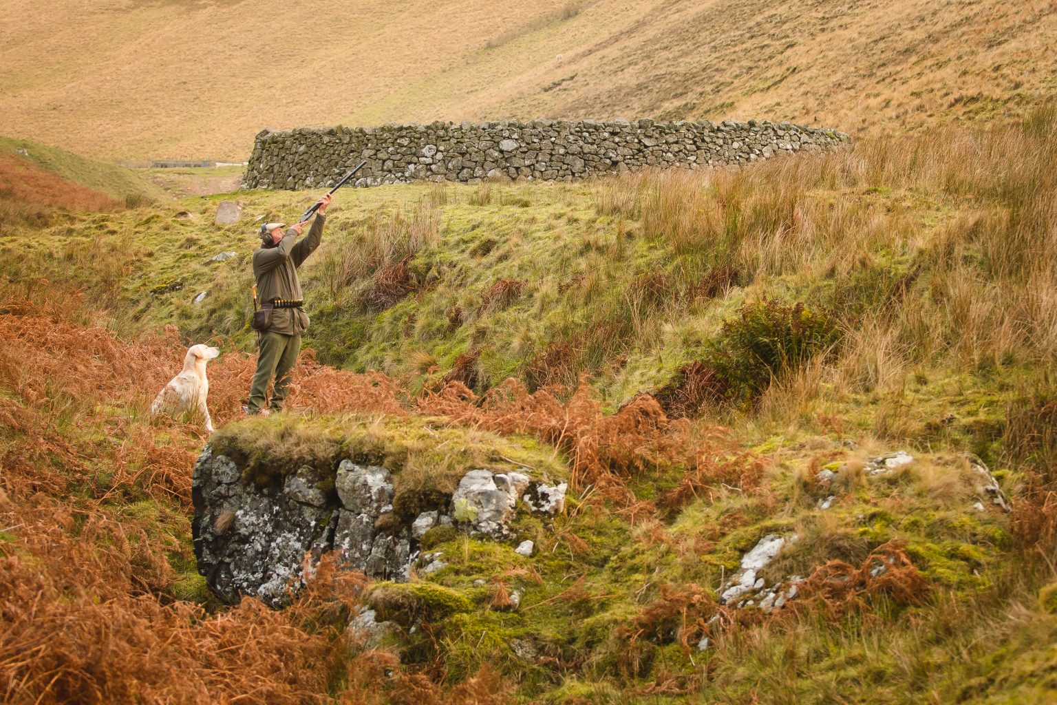 Partridge recipes. The 10 best partridge recipes. - The Field