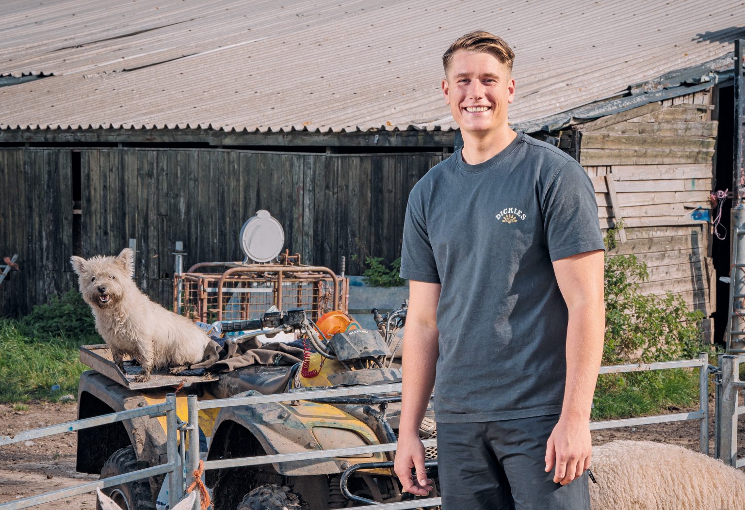 Partridge recipes. The 10 best partridge recipes. - The Field