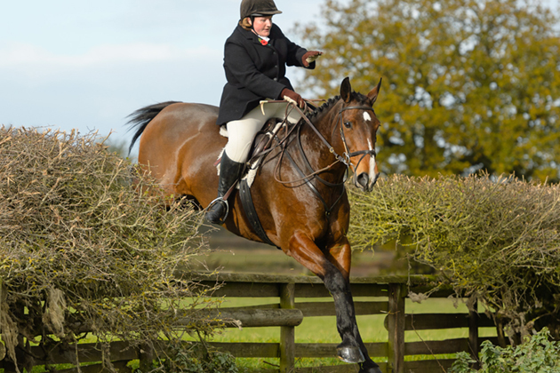 Hunting Mares - The Field