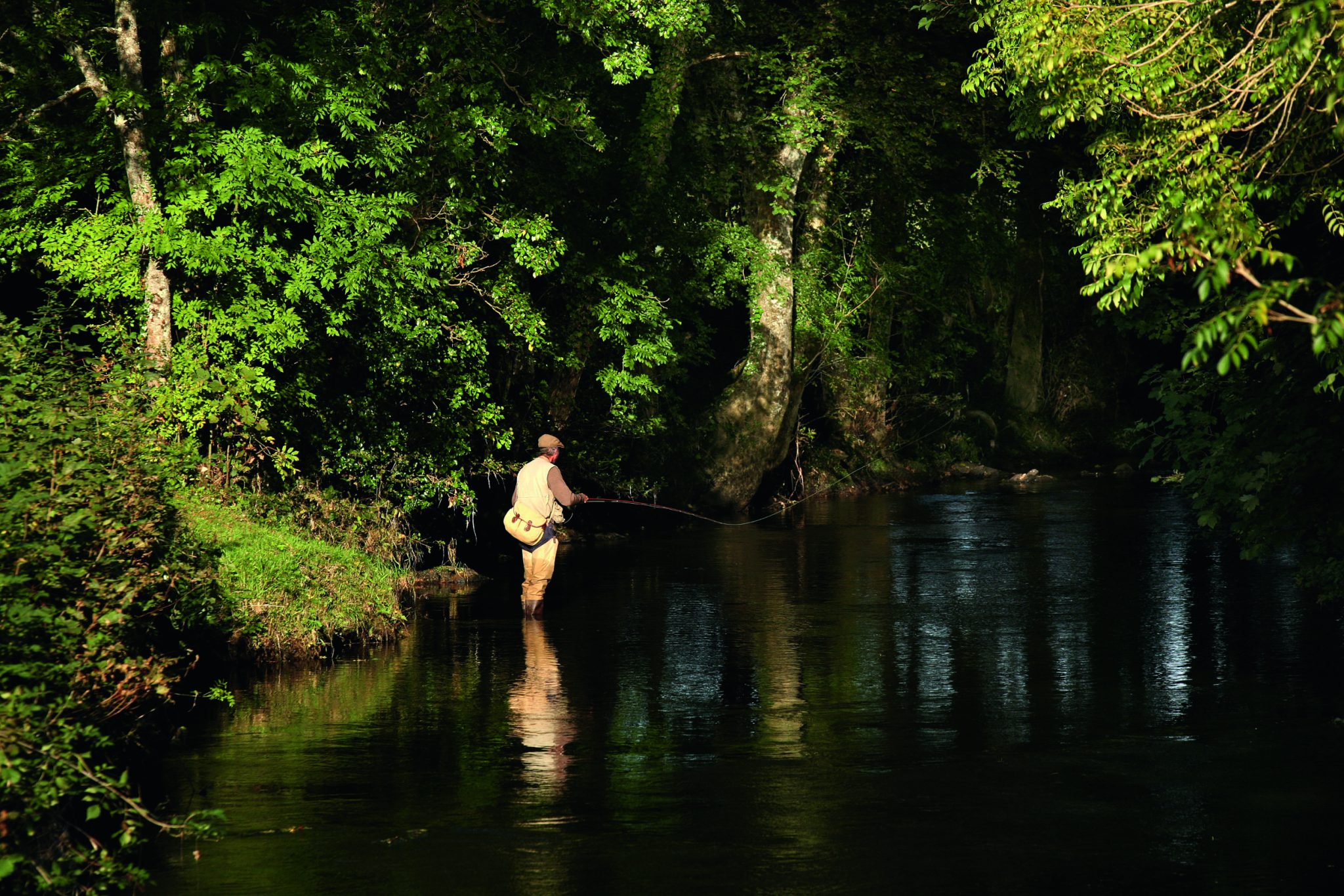 The Field's Ultimate Fishing Guide for 2024 - The Field