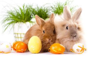 Eostre and Easter - more about this ancient spring festival