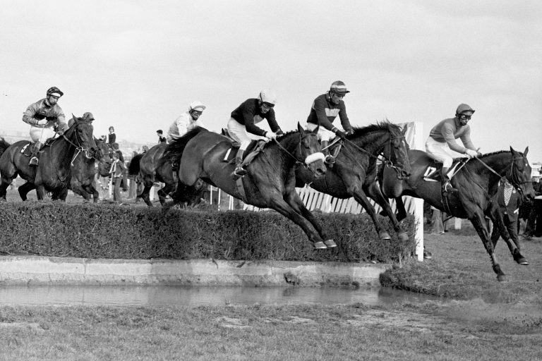 Red Rum: Aintree's finest - The Field