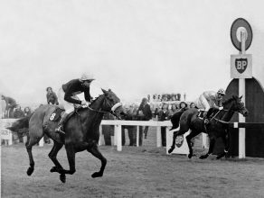 Red Rum: Aintree's finest - The Field