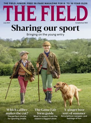 THE FIELD Archives - The Field