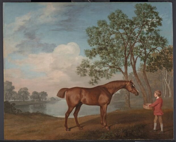 George Stubbs - a painter of equine excellence and master of the horse
