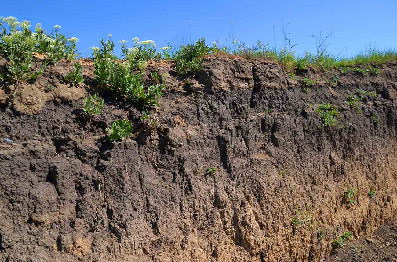 Ukraine’s terroirs: An eclectic range of styles, varieties and ...