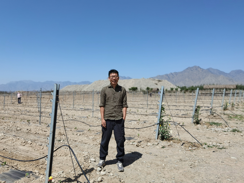 China producer profile: Devo Winery – Helan, Ningxia - Decanter