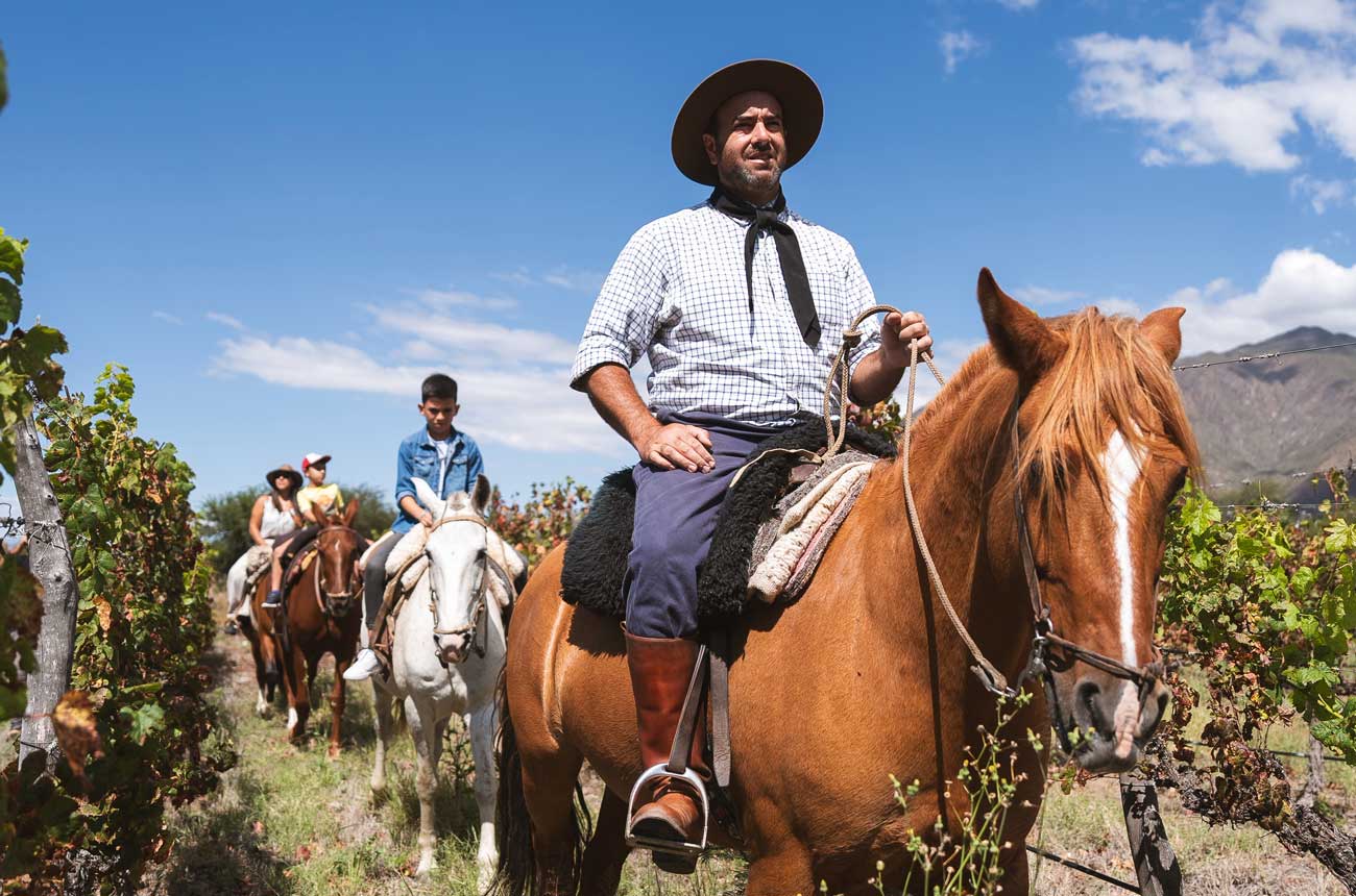 The Salta Wine Trail: Stunning landscapes and historic wineries - Decanter