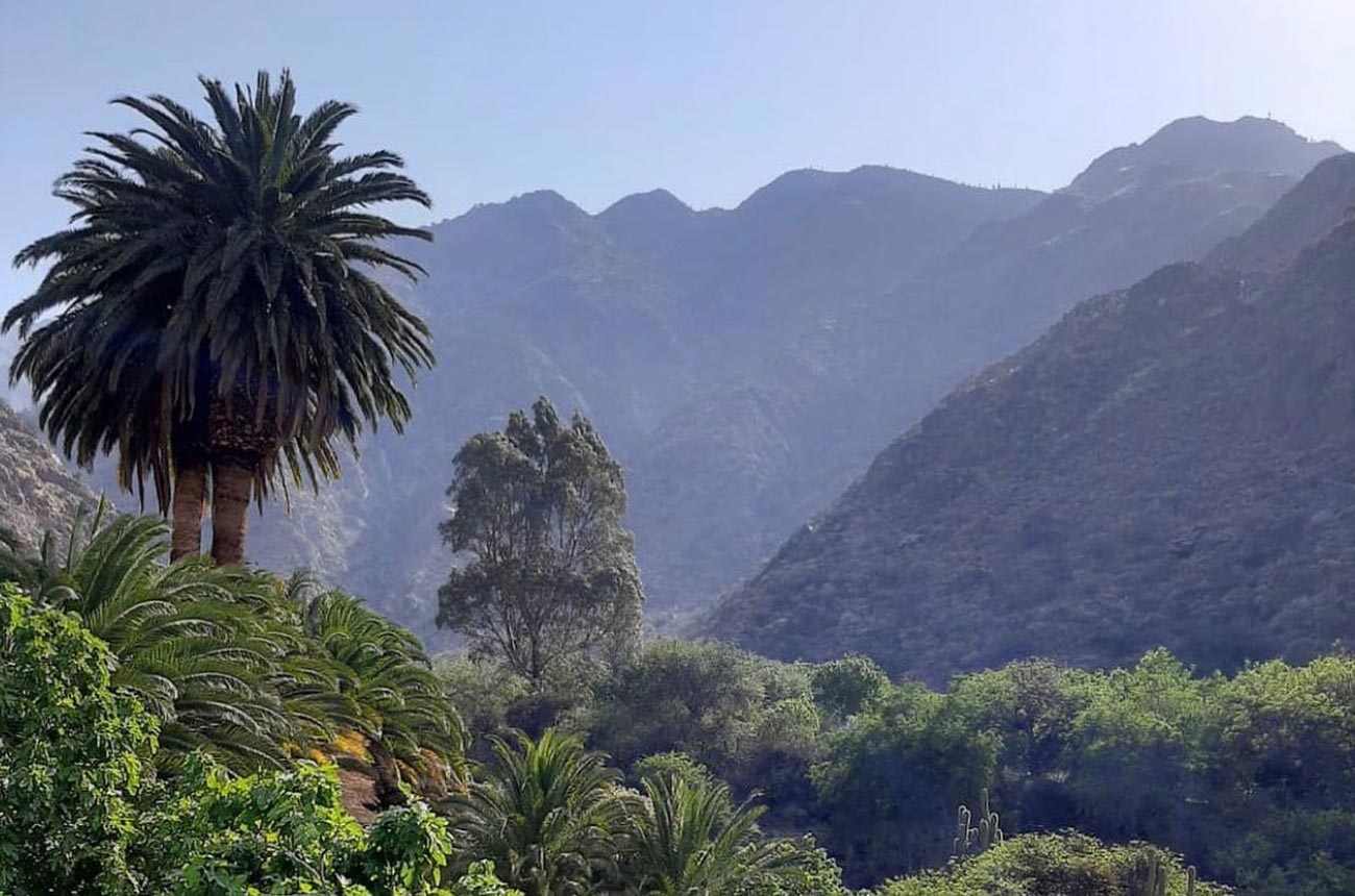 Salta: Winemaking's high point - Decanter