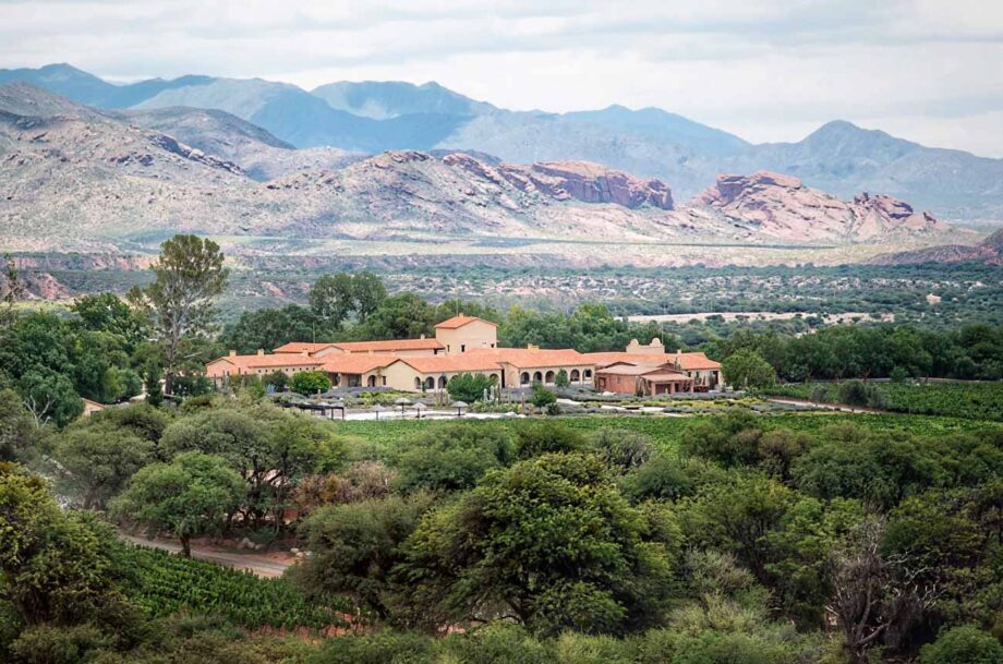The Salta Wine Trail: Stunning landscapes and historic wineries - Decanter