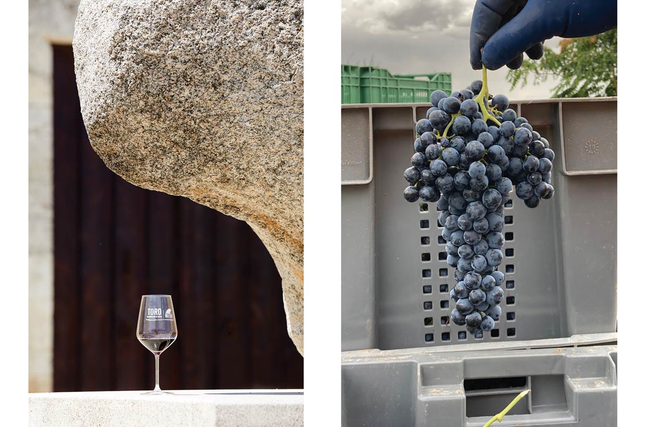 DO Toro: Tasting a land and its history in northern Spain - Decanter