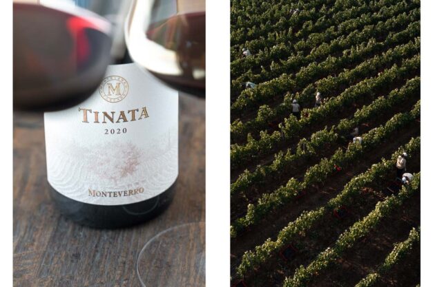 Tinata: Rhône grapes meet Tuscan elegance - Decanter