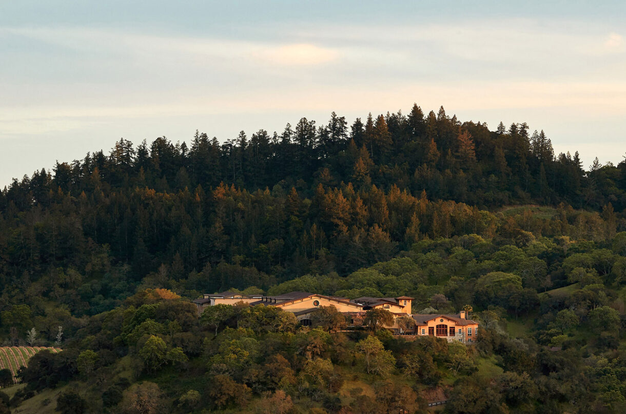 Foley Family Wines & Spirits' vision for the iconic wines of Silverado ...