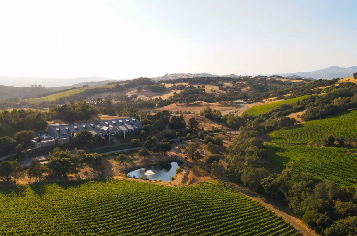 Sonoma Chardonnay finds its voice in the wines of Chalk Hill - Decanter