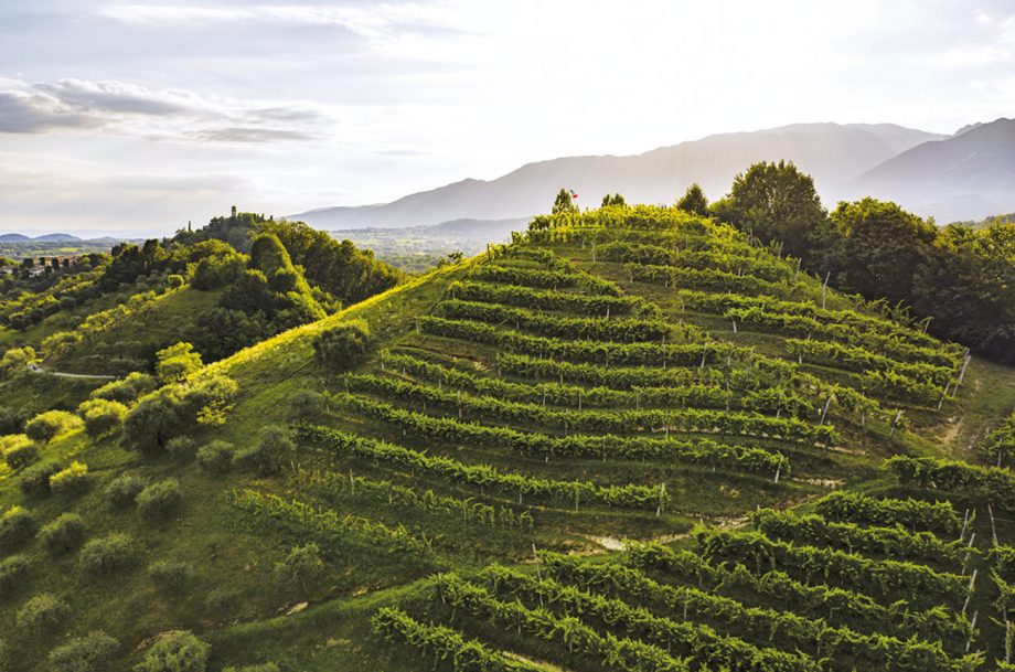 Asolo Prosecco Superiore DOCG - Unique, inspiring and true to its place ...
