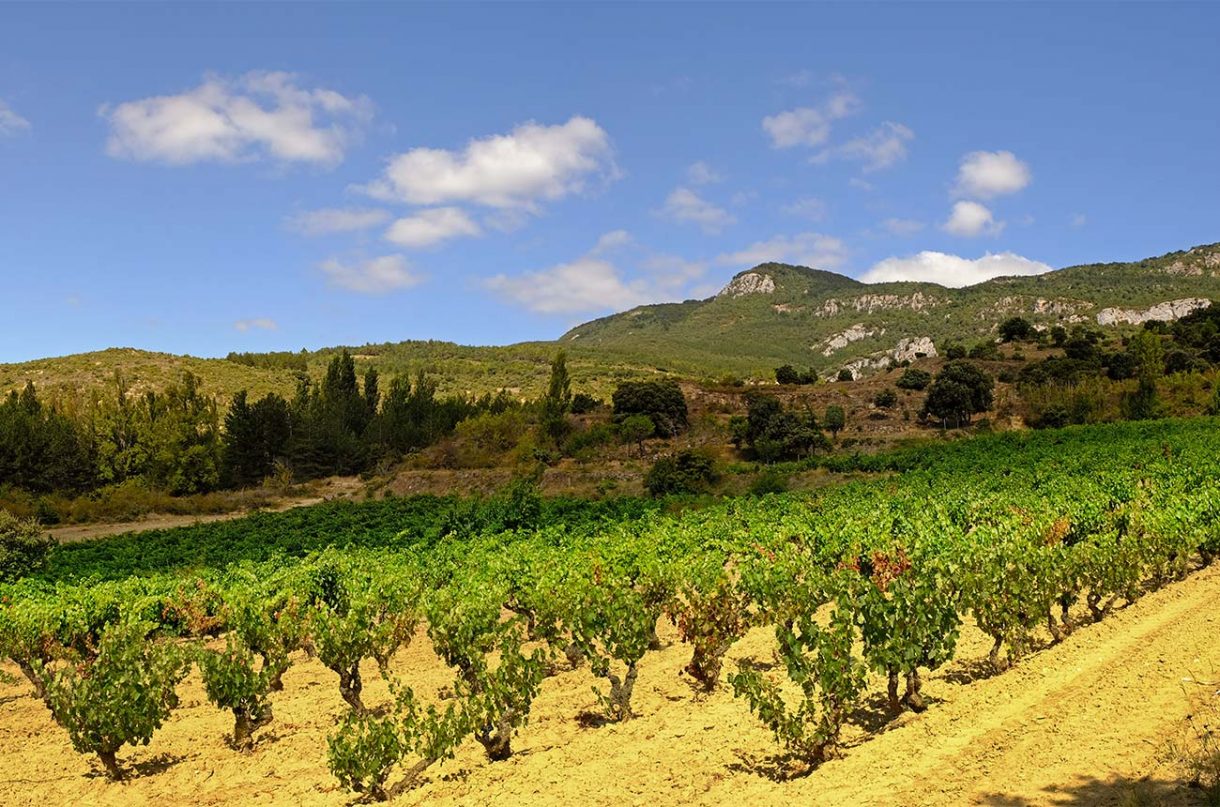 Altitude in Spanish wines - Decanter