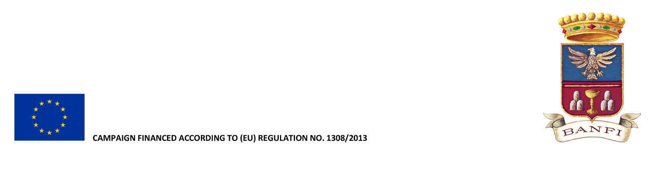 Castello Banfi: the Montalcino portfolio unveiled - Decanter