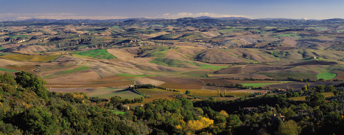 Brunello subzones desirable but unlikely, say experts - Decanter