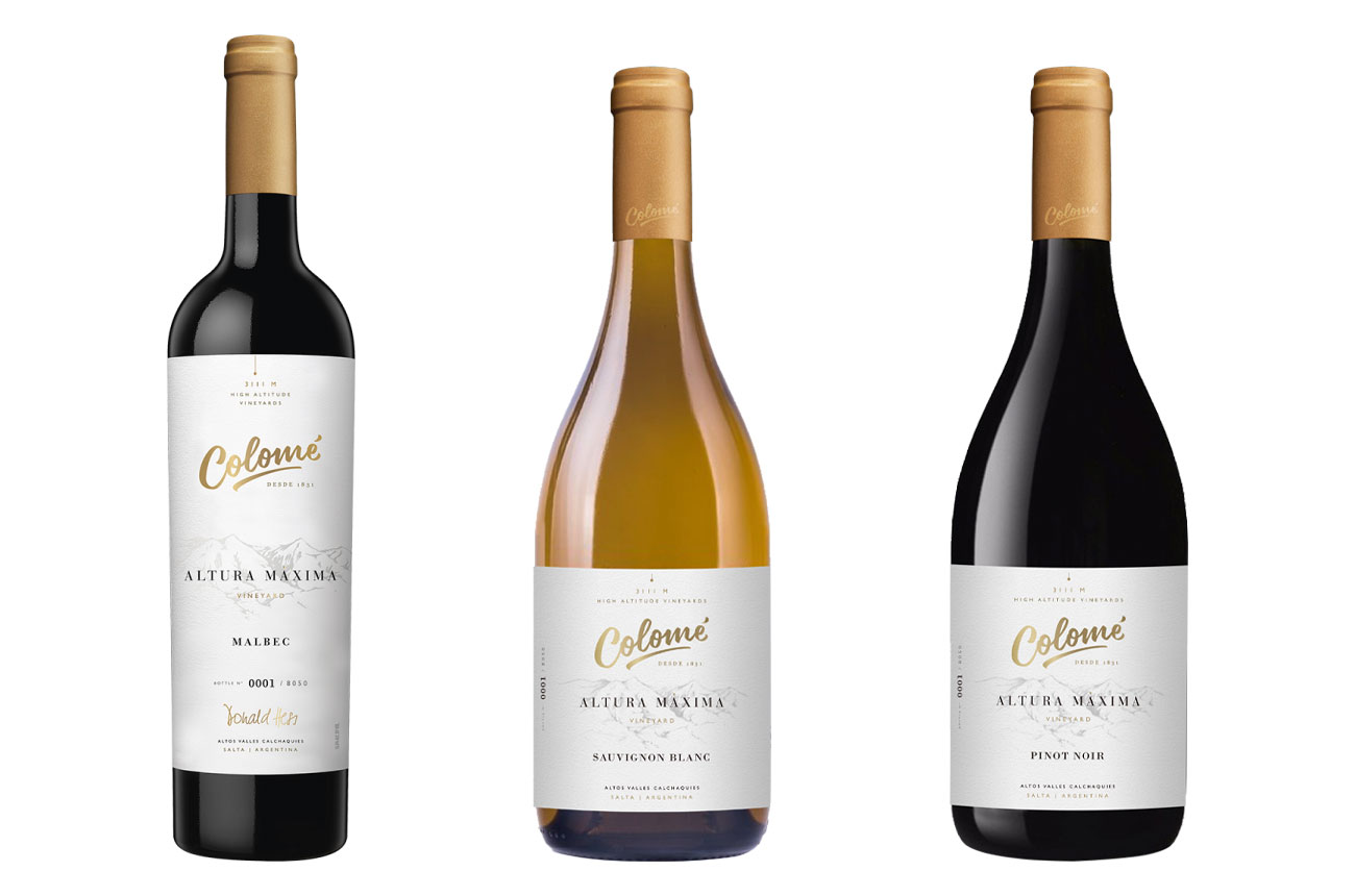 Bodega Colomé - wines from the Altura Máxima vineyard - Decanter