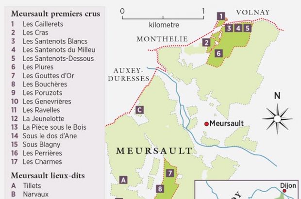 Meursault Premiers Crus 2010 - Decanter