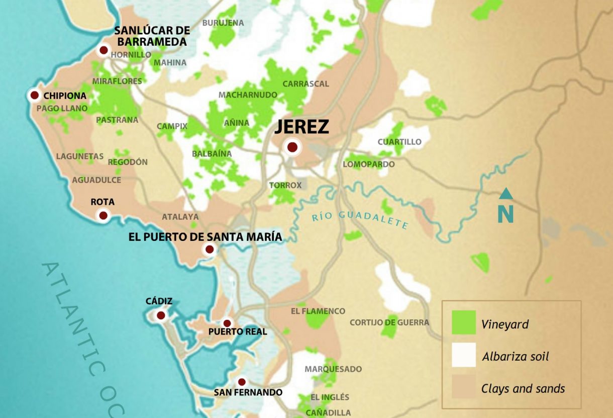 Sherry vineyards deserve more focus, says DO president Domecq - Decanter