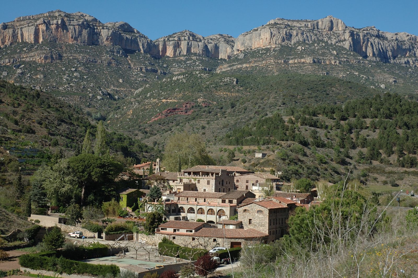 Priorat wine producers bid for World Heritage status - Decanter