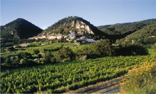 Decanter travel guide to Southern Rhone - Decanter