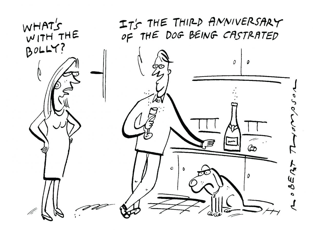 Best of Decanter: Robert Thompson Cartoons - Decanter