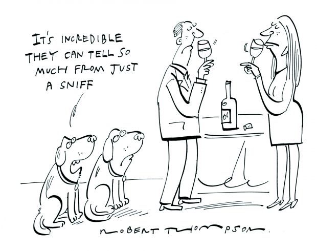 Best of Decanter: Robert Thompson Cartoons - Decanter