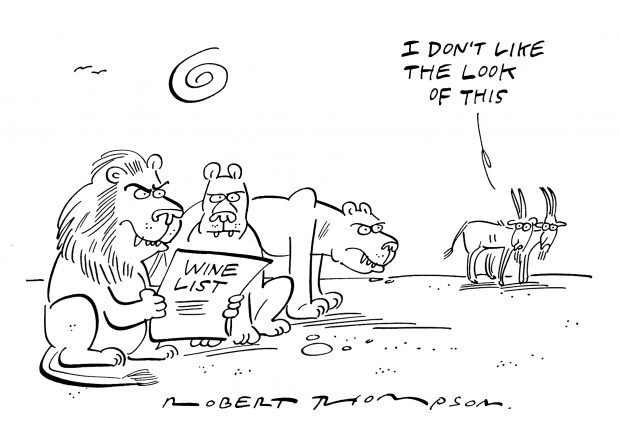 Best of Decanter: Robert Thompson Cartoons - Decanter