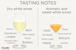 How to read wine tasting notes - Ask Decanter - Decanter