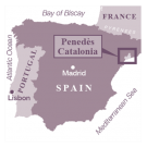 Cava travel guide, Decanter - Decanter