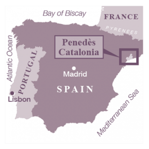 Cava travel guide, Decanter - Decanter