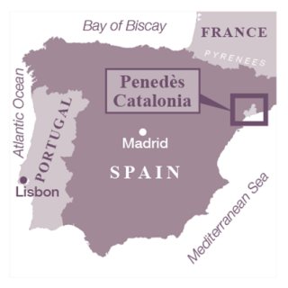 Cava travel guide, Decanter - Decanter